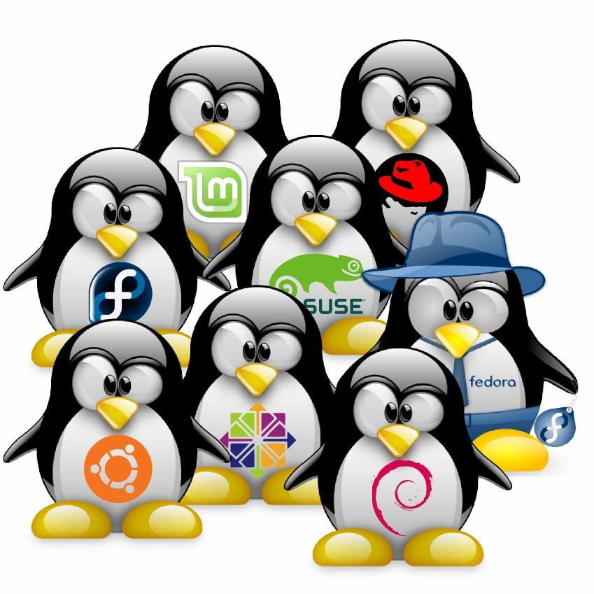 As 10 Melhores Distribuições Linux(a 1ª e a 5ª são as melhores para ... As 10 Melhores Distribuições Linux(a 1ª e a 5ª são as melhores para ...